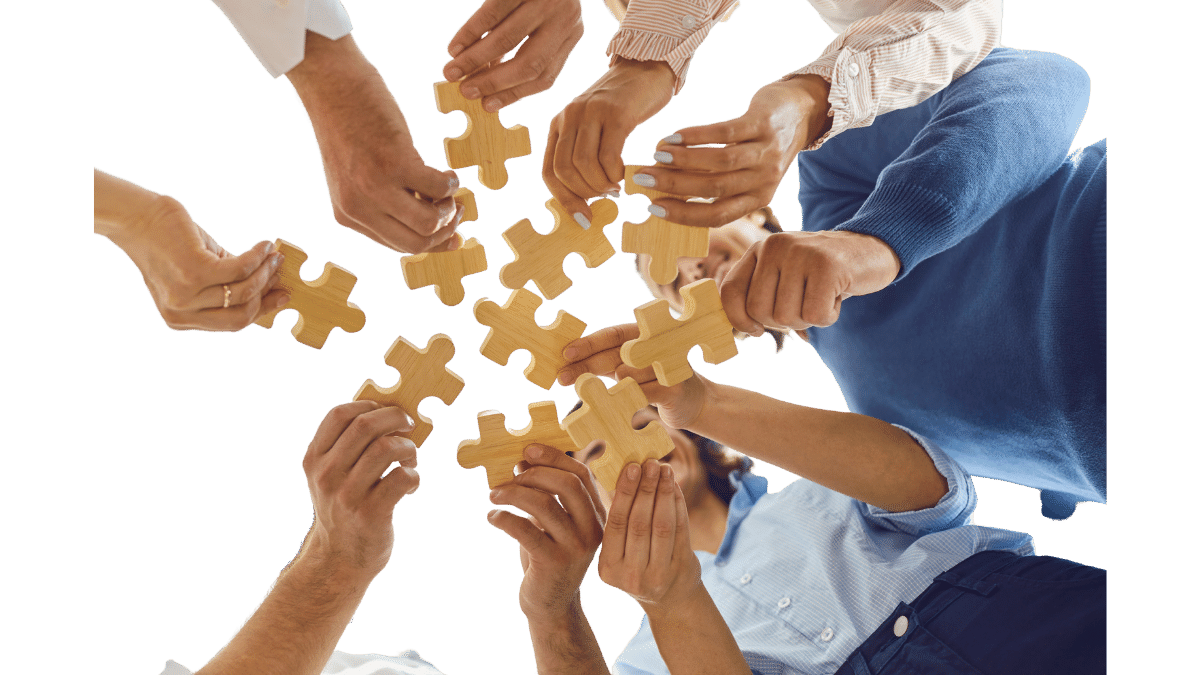 The 411 Fast-track: Unrivaled bridging of Project Management Leadership ...